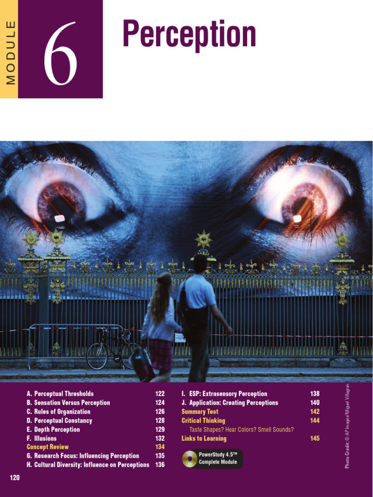 I2P - MODULE 6 pdf | PDF | Perception | Senses