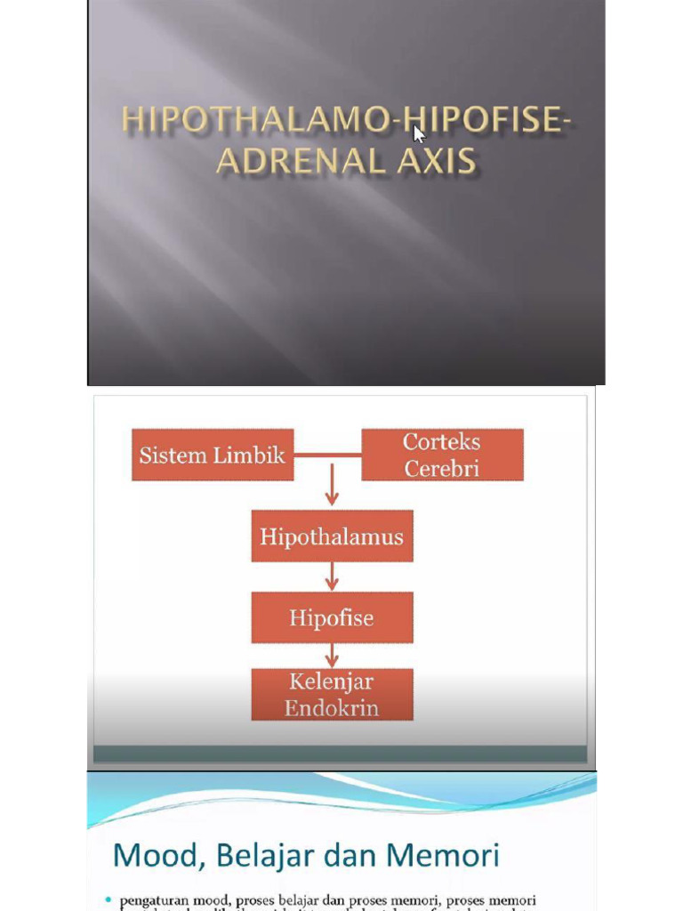 KULPAK Axis Hipotalamus Yang Berhubungan Dengan Gangguan Jiwa - DR - Dr ...
