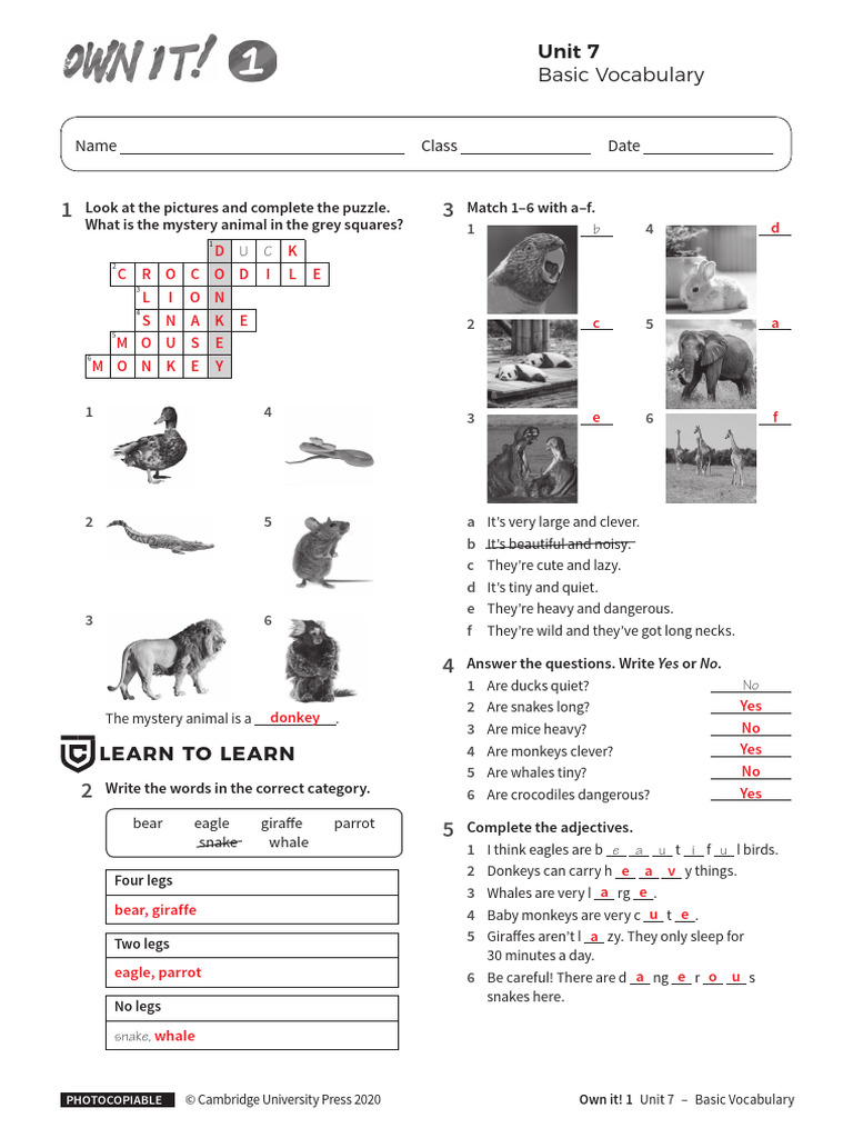 Vocabulary Basic Unit7 With Answers | PDF | Language Arts & Discipline