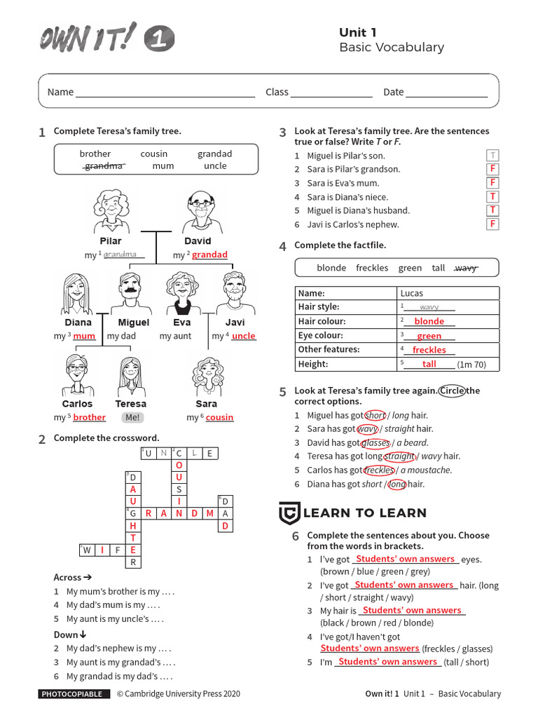 Vocabulary Basic Unit1 With Answers | PDF | Human Head And Neck | Beauty