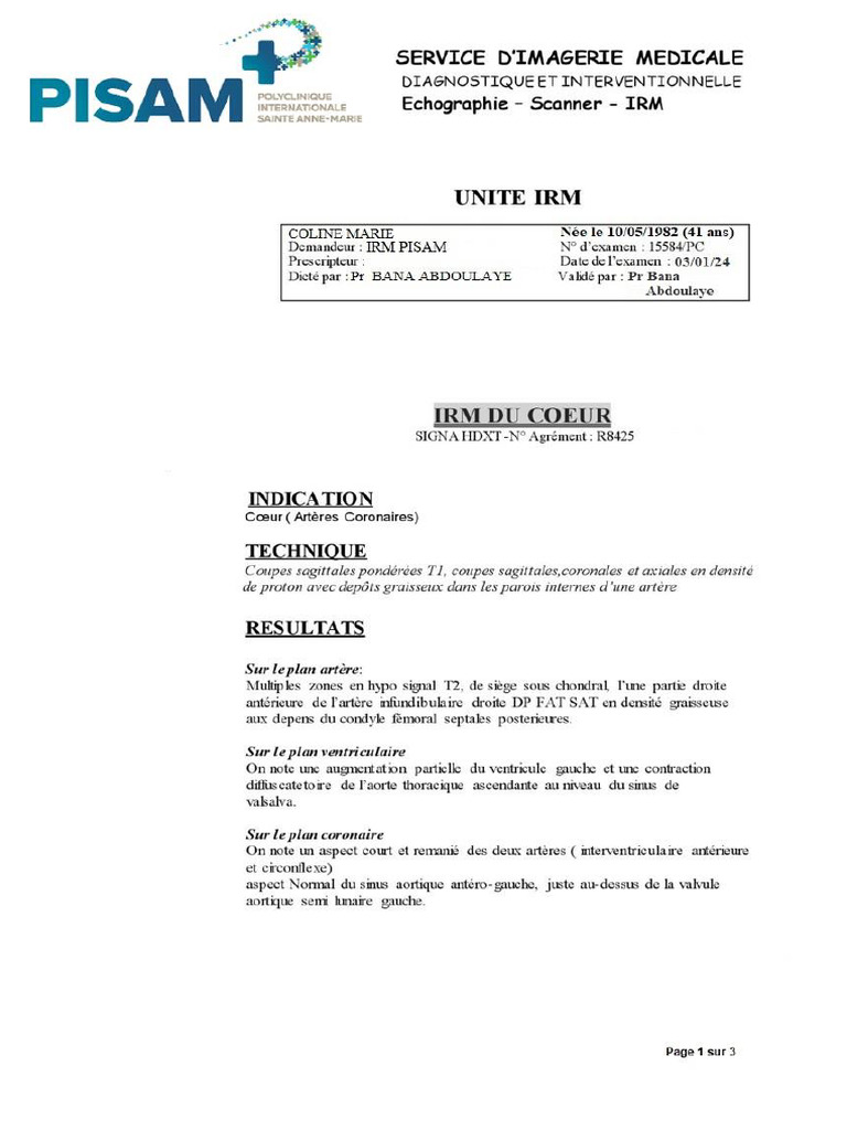 Pisam 300121 | PDF