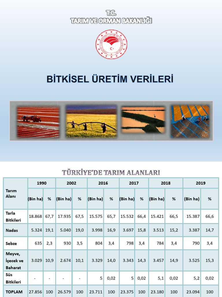 Türkiye Toprakları Bitkisel Üretim Verileri | PDF