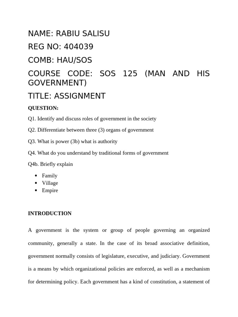 Understanding Government and Its Roles | PDF