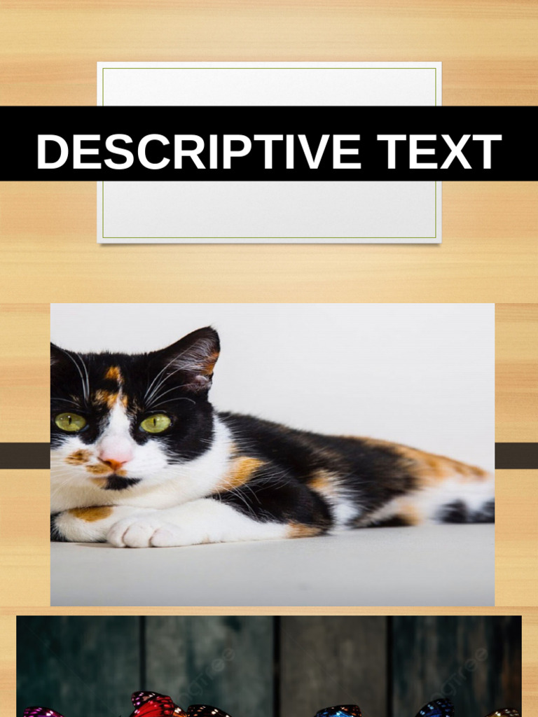 Descriptive Text | PDF | General Fiction