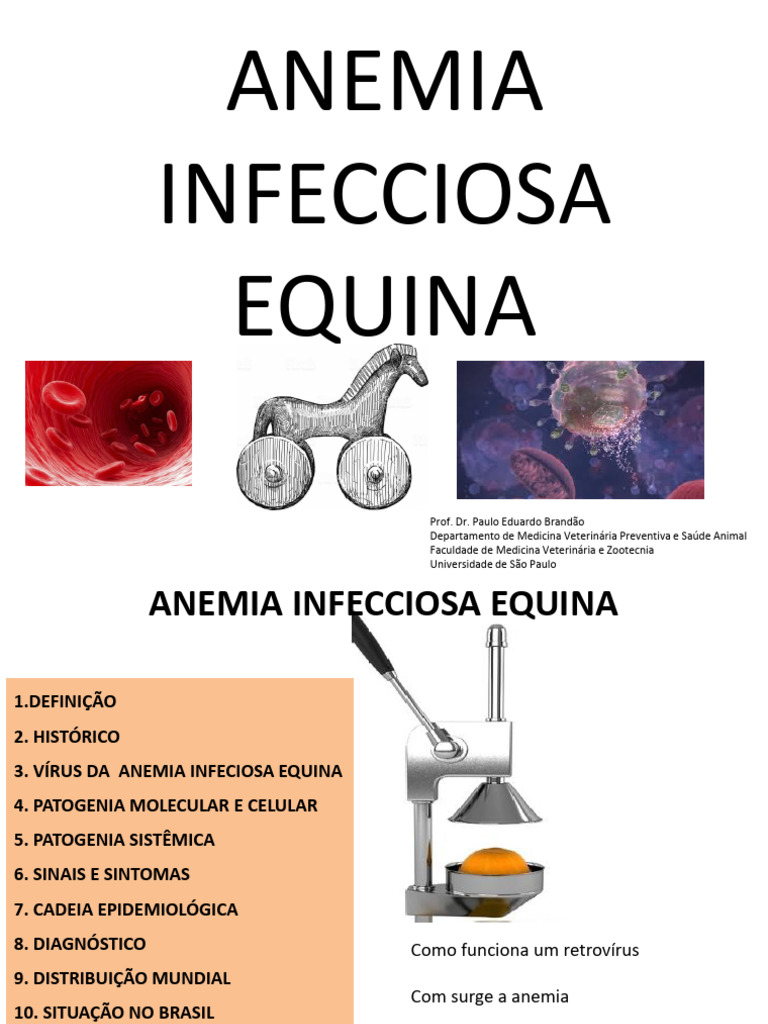 Anemia Infecciosa Equina | PDF | Vírus | Anemia