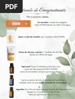 Menu Principal Cardápio Outback PDF | PDF | Gastronomia, comida e vinho