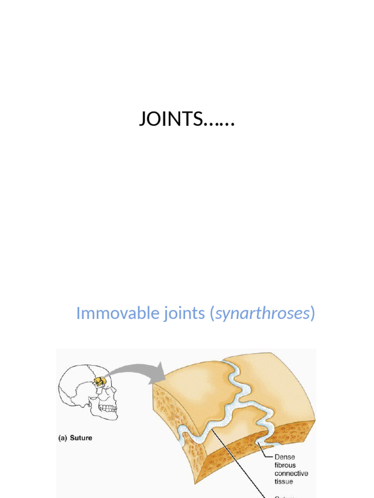 Joints | PDF | Social Science | Travel