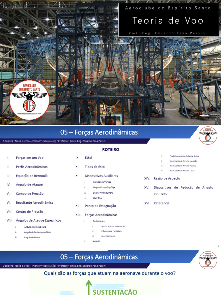 Cap¡Tulo 05 - For As Aerodinƒmicas - Teoria de Voo AviÆo - Piloto Privado | PDF | Aerodinâmica | Voo