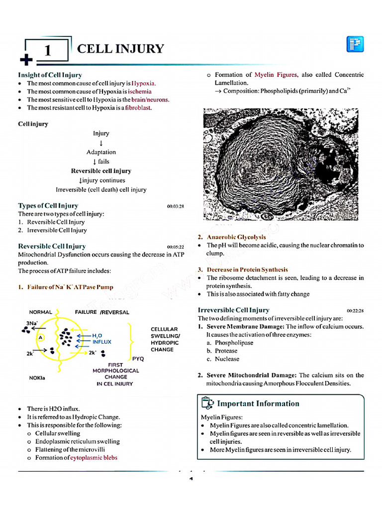 Pathology Ed5 | PDF