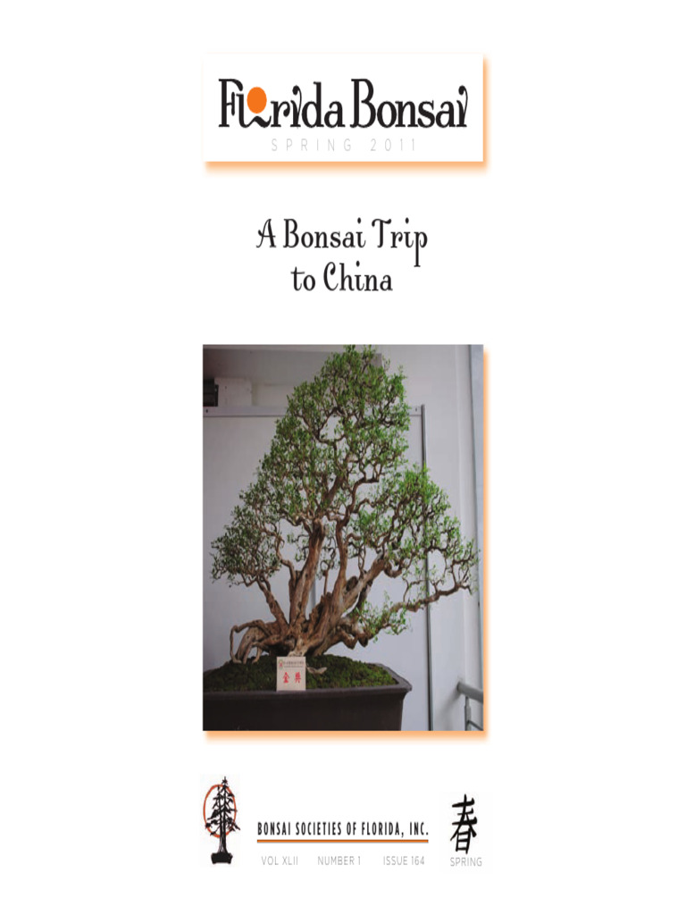 BSF Magazine 11 1 Web | PDF | Bonsai | Trees