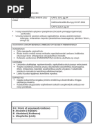 ANCYL Constitution 2023 | PDF | African National Congress | United ...