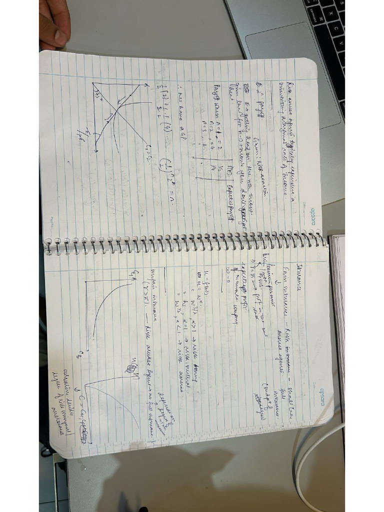 Risk and Uncertainty | PDF