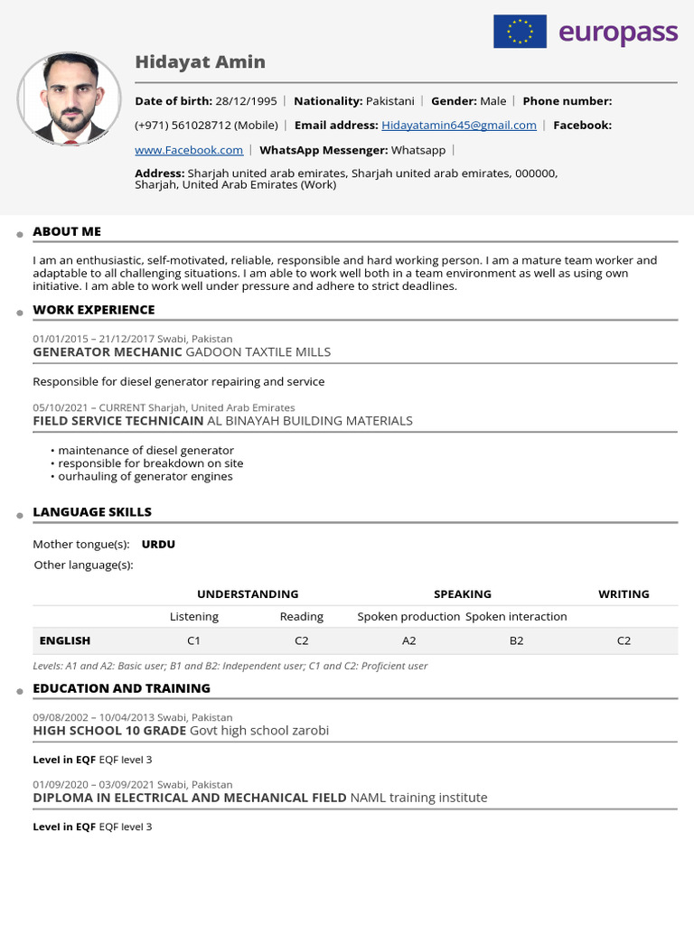 CV Euro Pass | PDF | Career & Growth