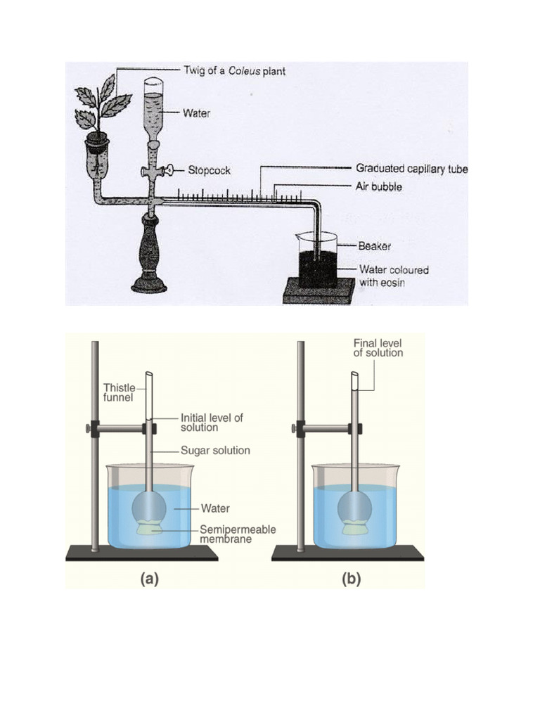 Siya's Newspaper Work | PDF
