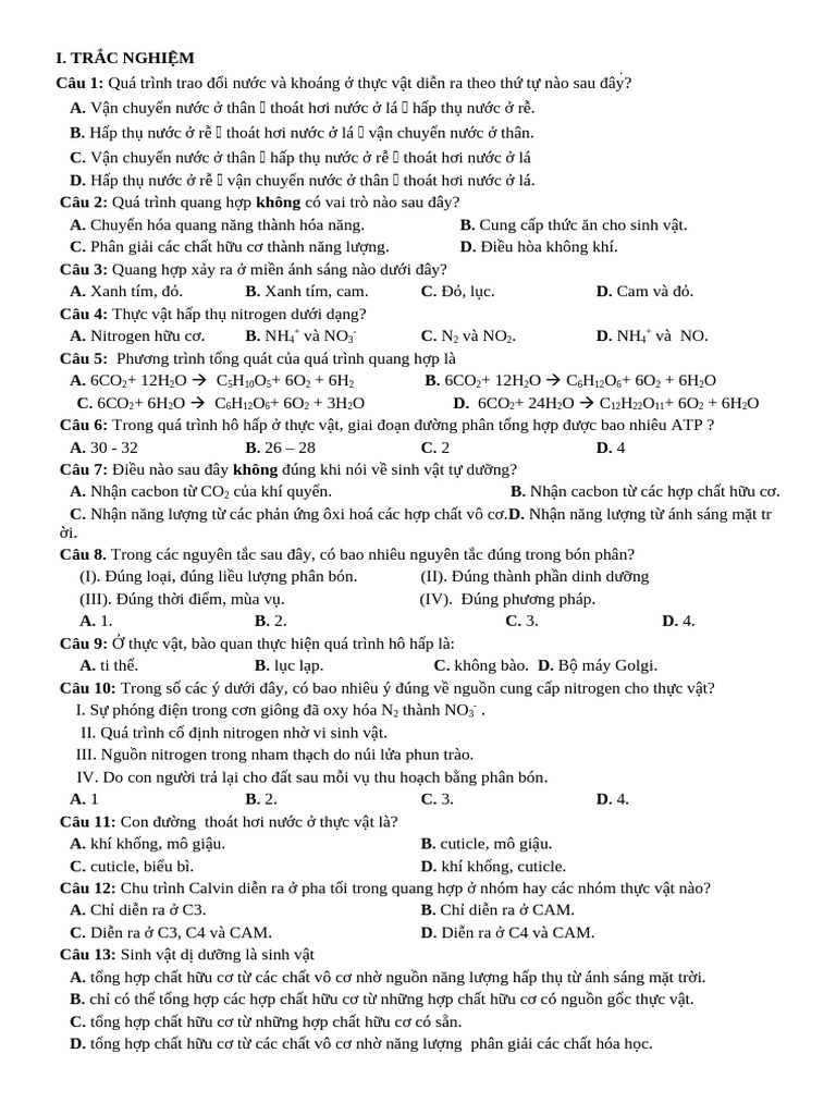 ĐỀ KTGK 1 SI 11 tham khảo | PDF
