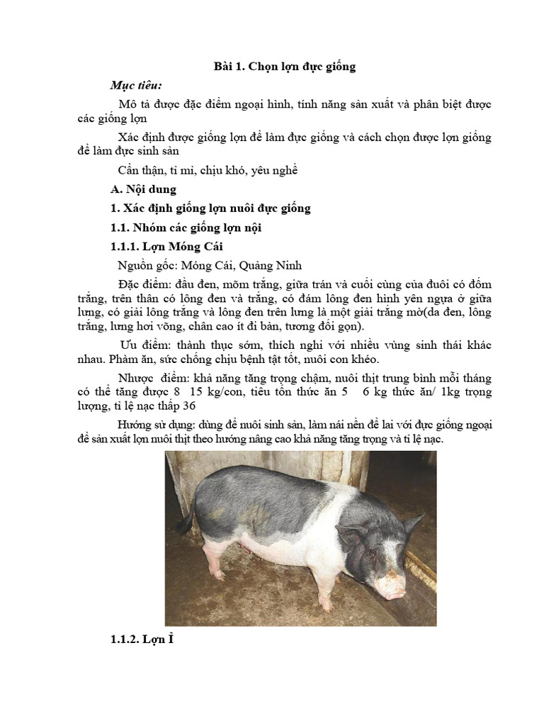 Bai 1. Chon Lon Duc Giong | PDF