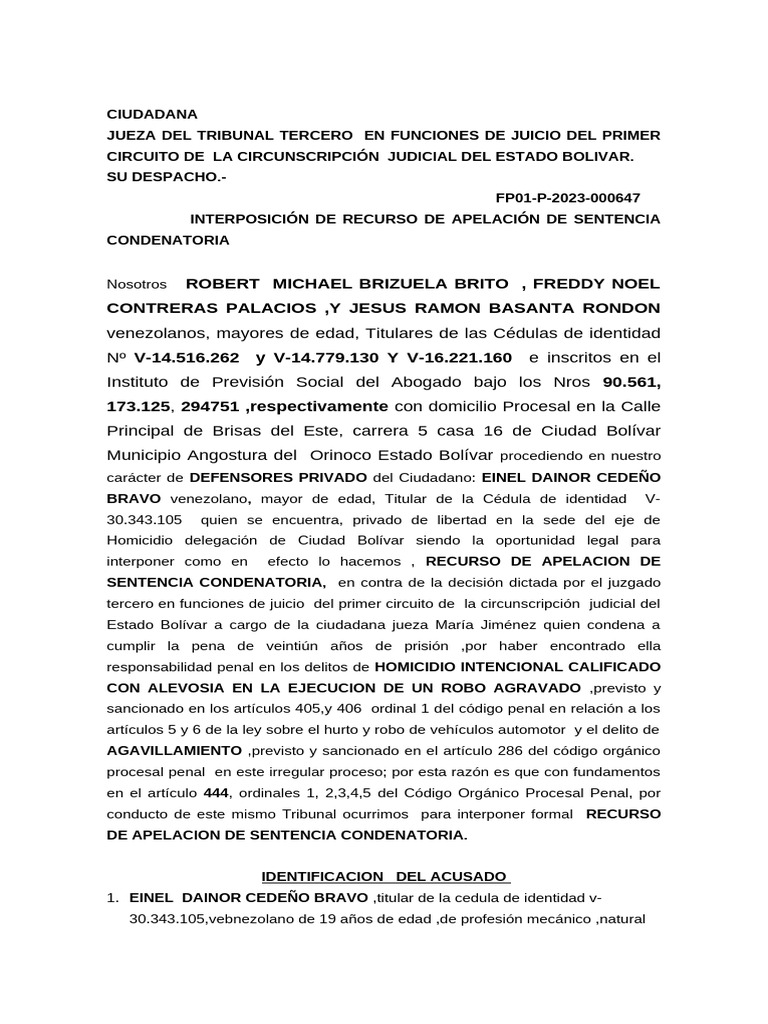 Apelacion Sentencia Definitiva | PDF | Sentencia (ley) | Debido al proceso