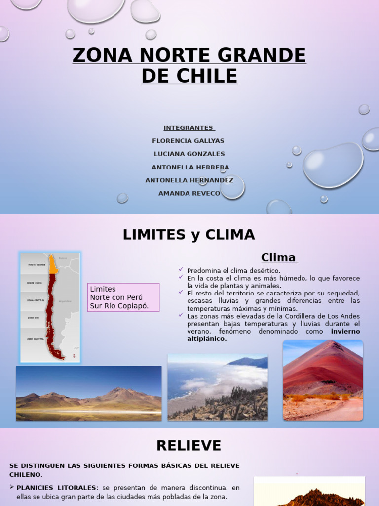 Recursos y características de la zona norte | PDF | Chile | Andes