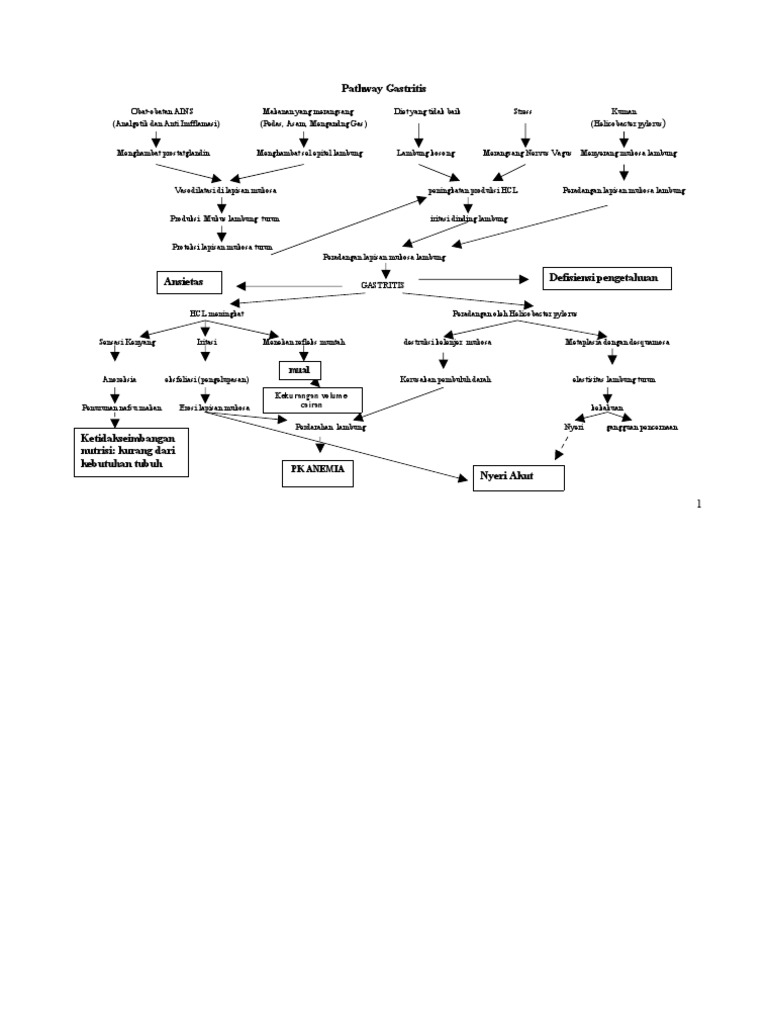 Pathway Gastritis