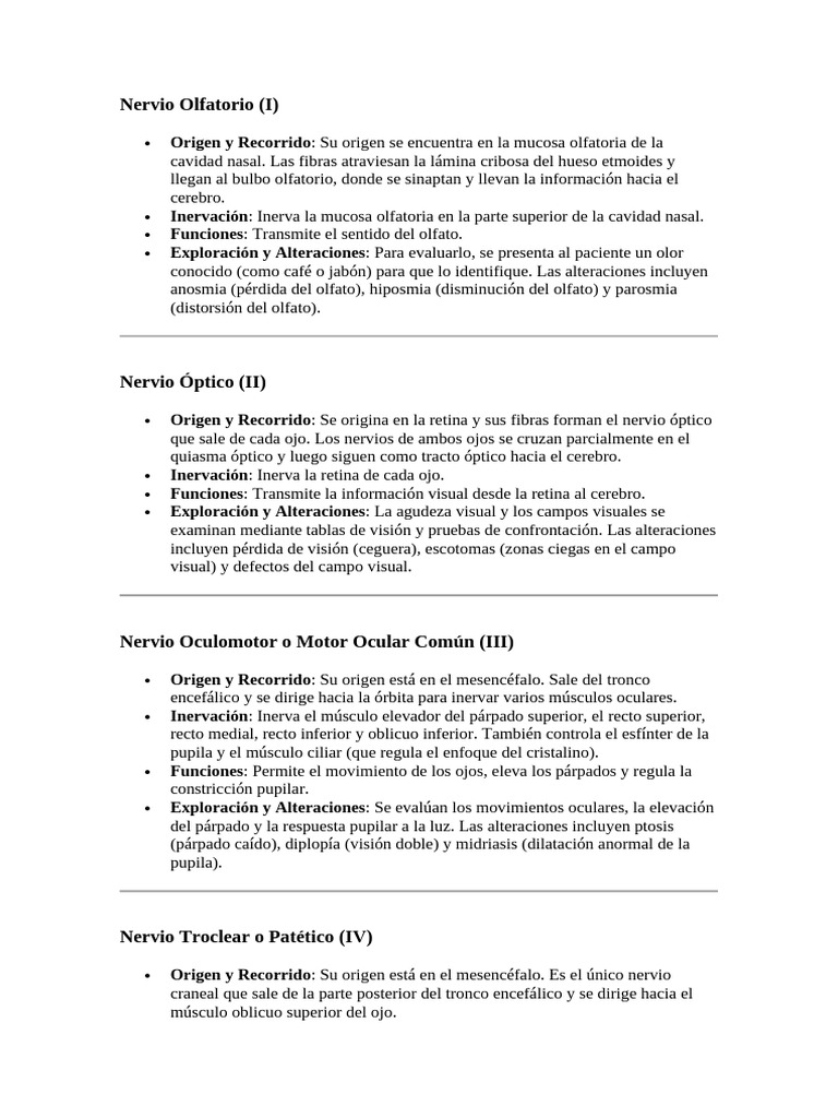 Deber de Semio | PDF | Nervio vago | Ojo humano