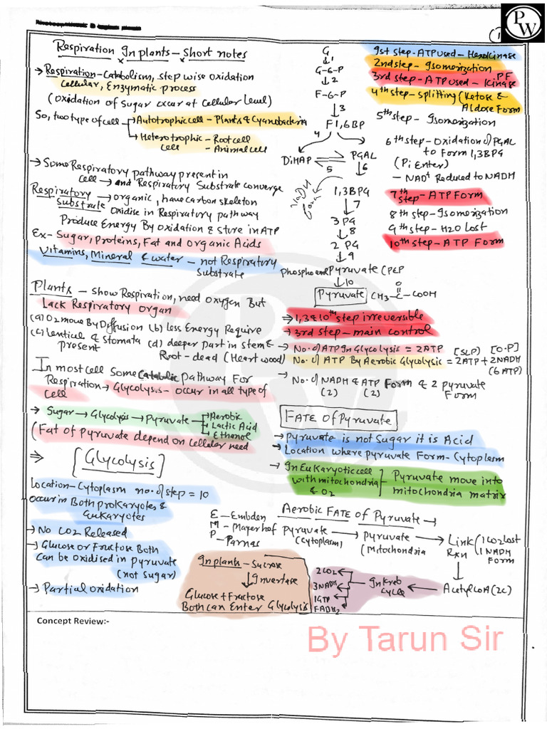 Respiration in Plants Short Notes (Yakeen 2.0 2023 PW Stars) | PDF