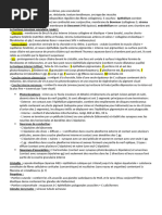 Anatomie Du Corps Genicule Lateral 2022 | PDF | Système visuel | Vision