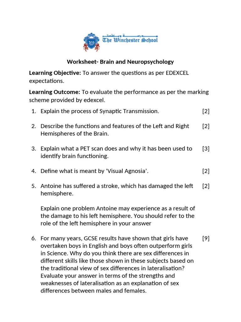 Brain and Neuropsychology Worksheet | PDF