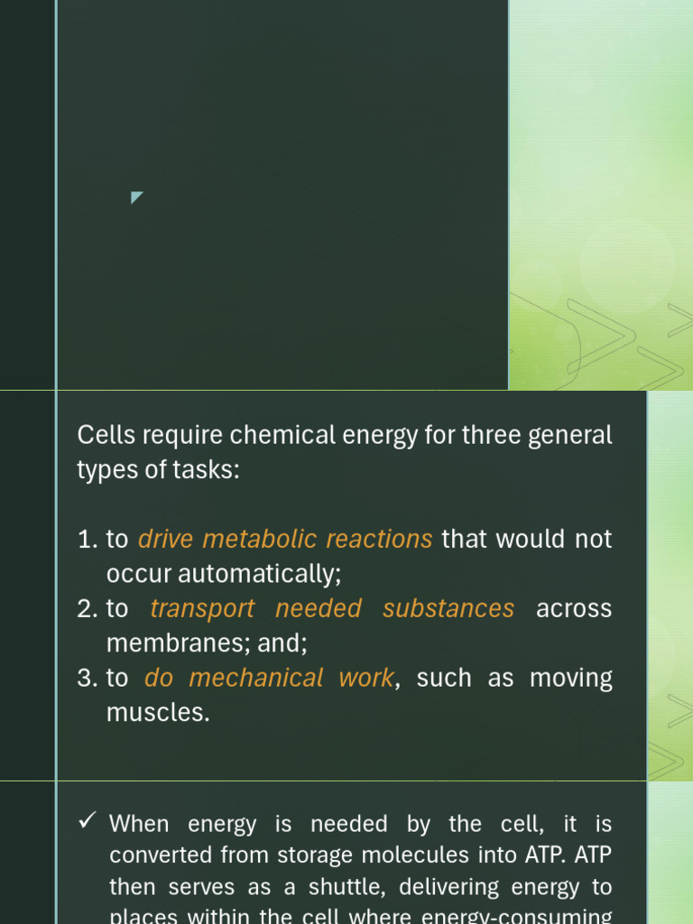 Lesson 1 ATP Coupling and Plant Pigments | PDF | Adenosine Diphosphate ...