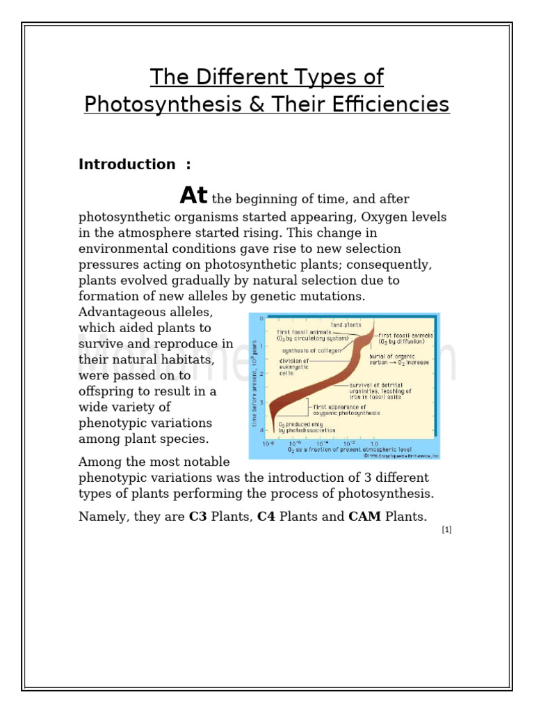 The Different Types of Photosynthesis | PDF | Photosynthesis | Plants