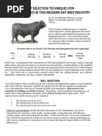 Livestock Judging Techniques Explained | PDF | Livestock | Domesticated ...