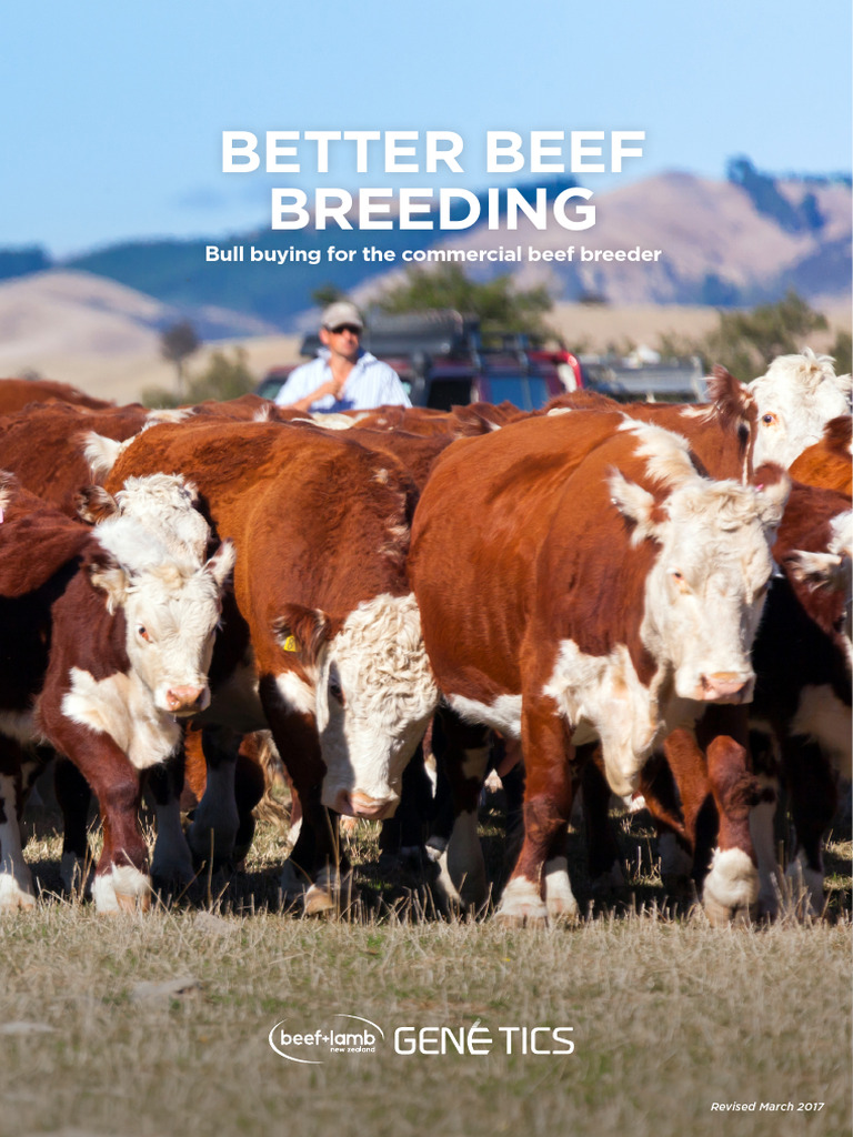 Better Beef Breeding, BULL BUYING | PDF | Cattle | Weaning