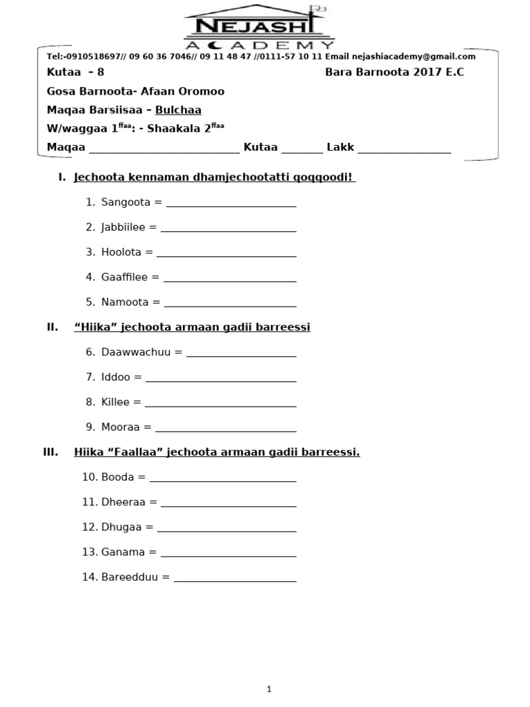 G8 Afan Oromiya Work Sheet-2 | PDF
