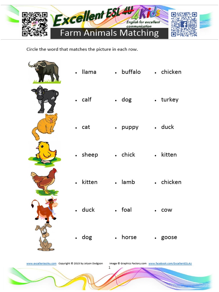 Farm Animals Multiple Choice Matching | PDF | Livestock | Domesticated ...
