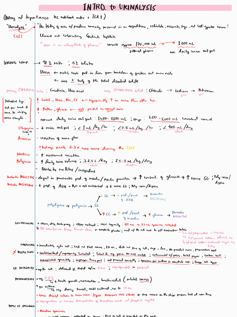 O1 Intro To URINALYSIS - CH 3 - 230901 - 114555 | PDF