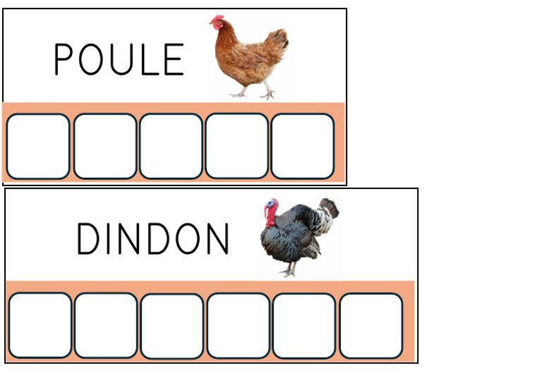 Planche Pour Atelier Des Mots Maternelle: Poule Dindon | PDF