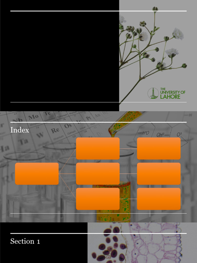 Lipids Pdf Lipid Oil
