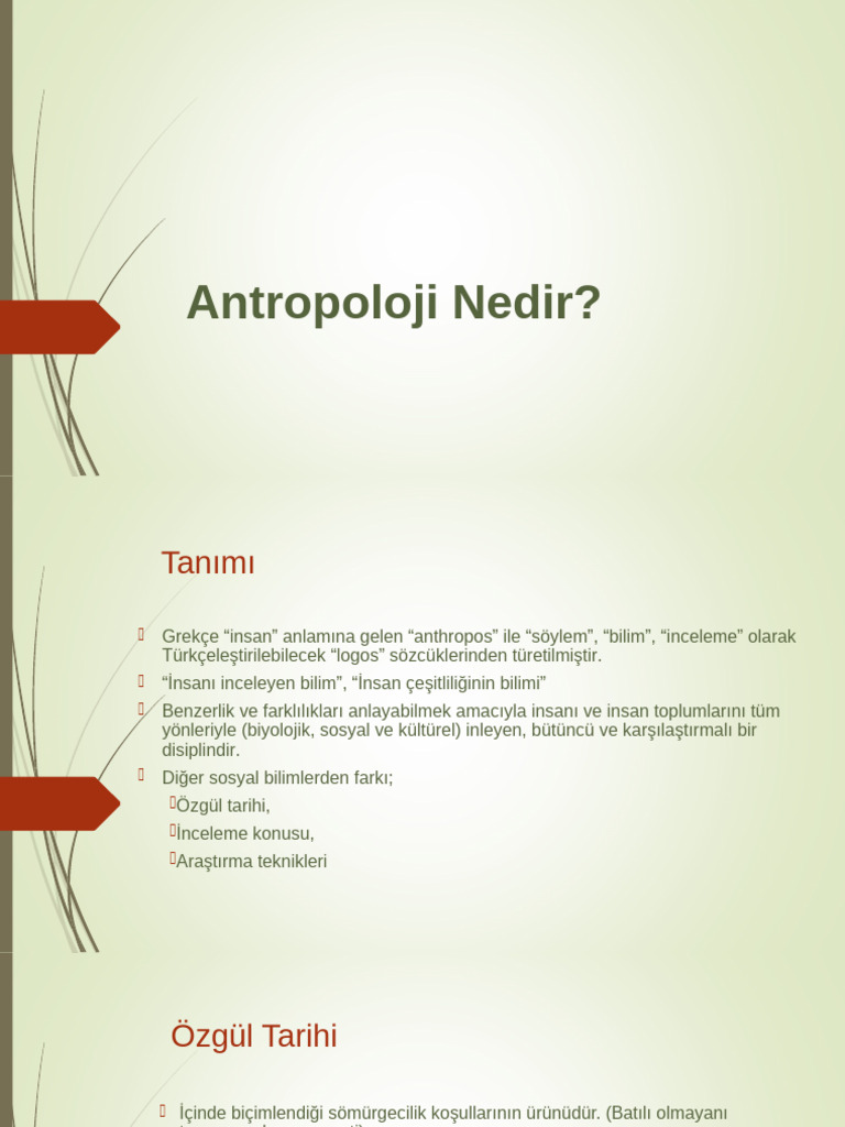 Antropoloji Nedir | PDF