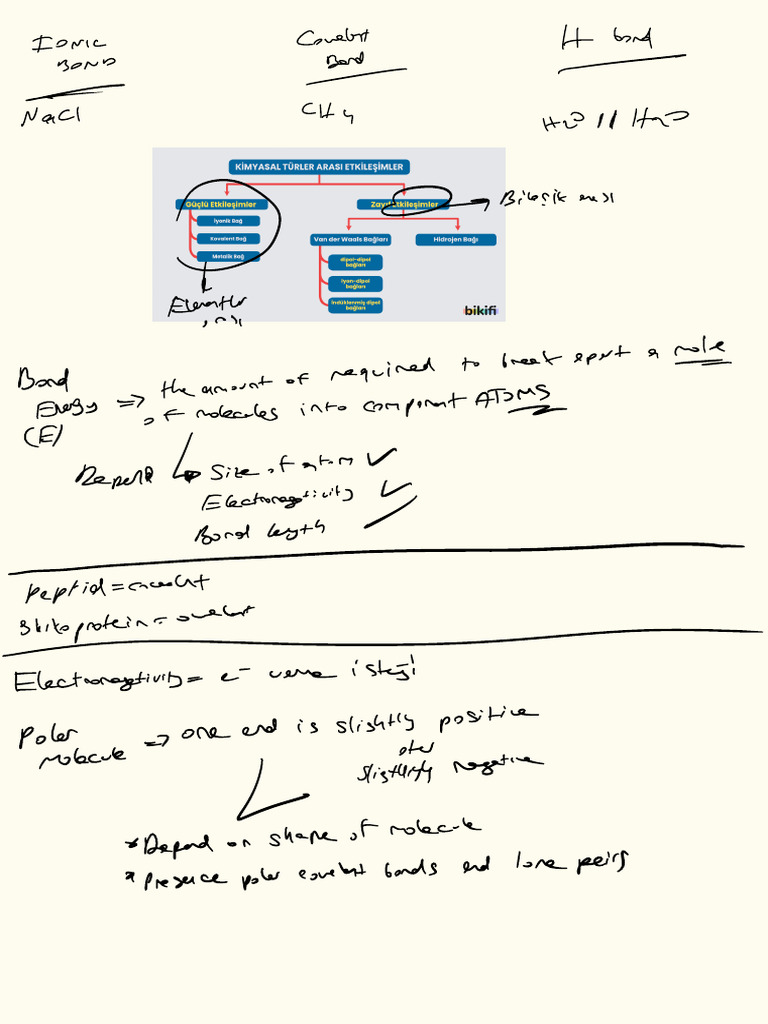 Interactions Ozet | PDF