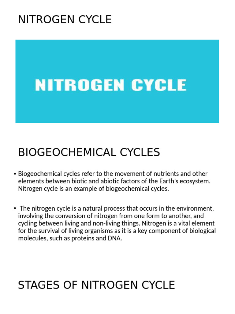 Understanding the Nitrogen Cycle | PDF | Systems Ecology | Earth Sciences
