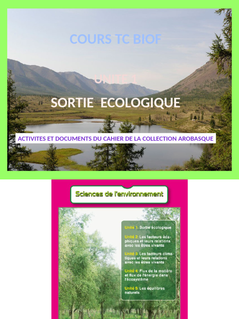 La Sortie Ecologique PPT 2 | PDF | Plantes | Arbres