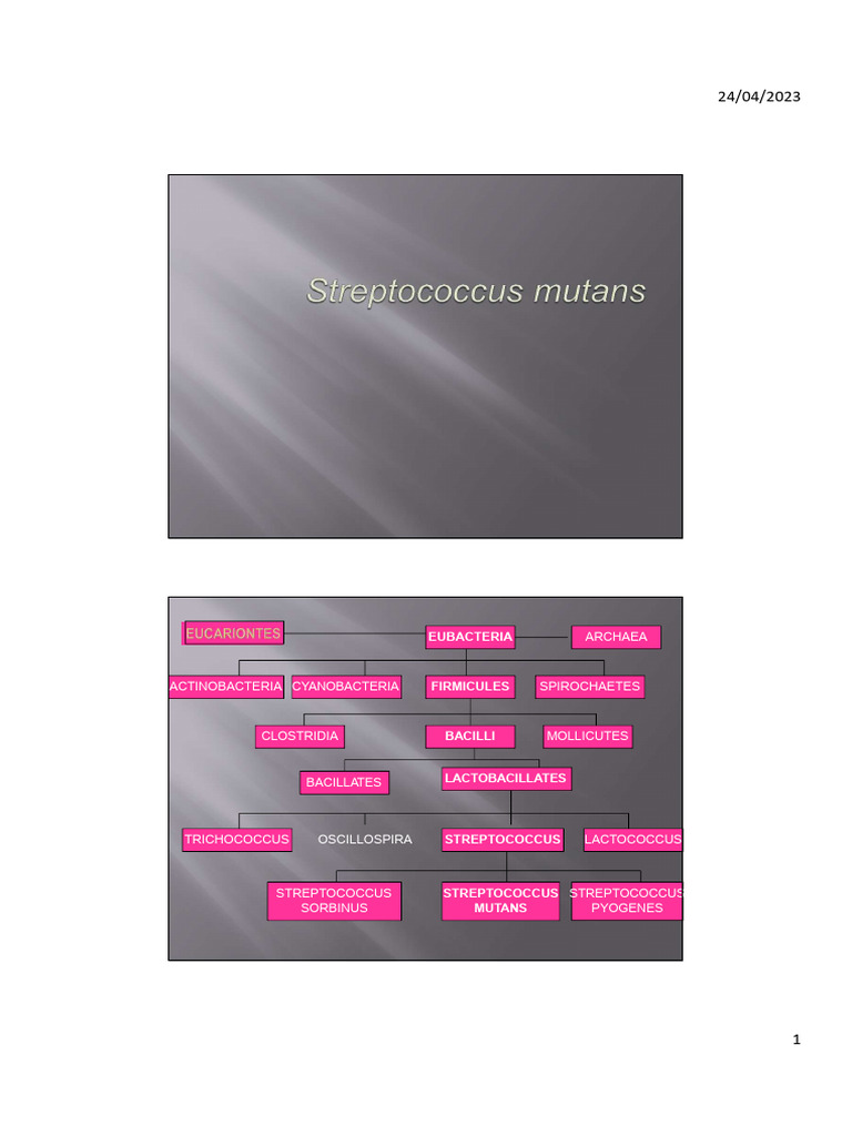 Streptococcus Mutans | PDF | Bactérias | Estreptococos