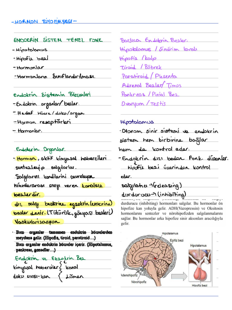 Not 30 Eki 2024 | PDF