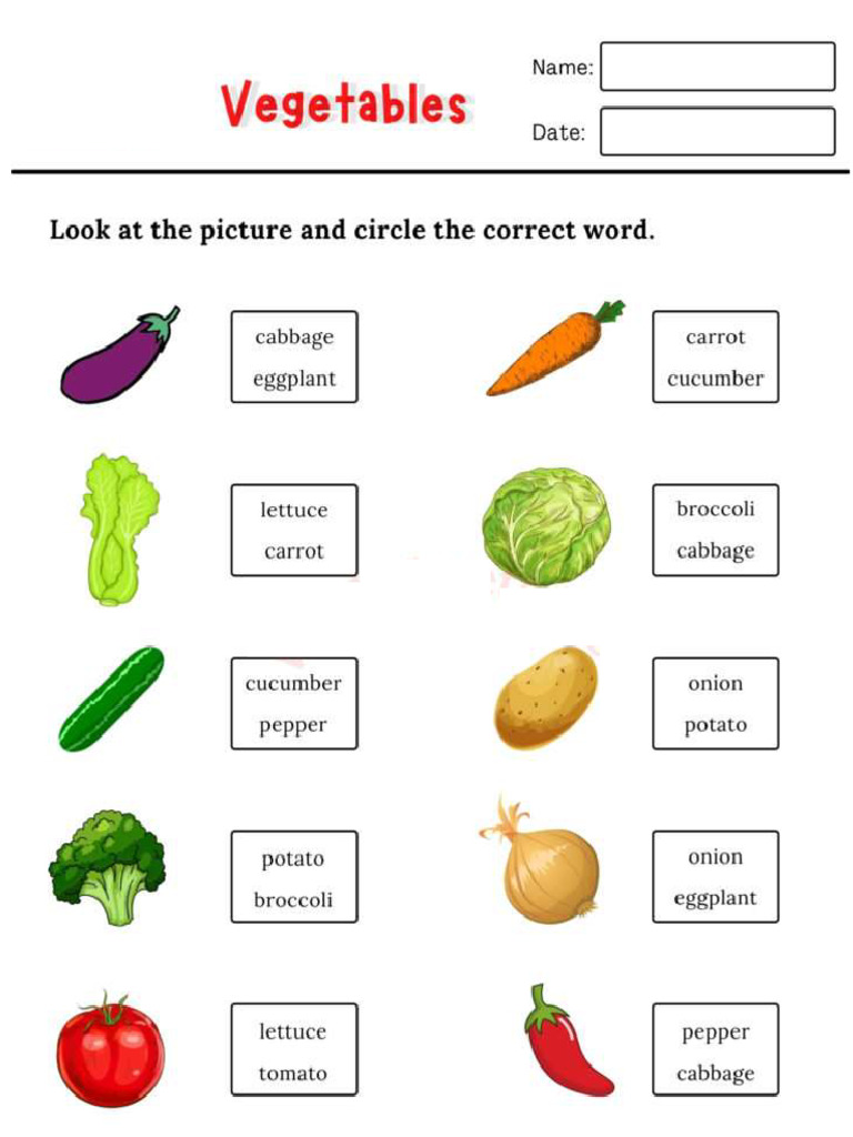 vegetables worksheet | PDF