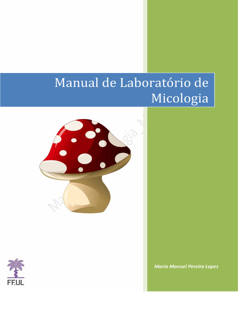 Lab Mico | PDF