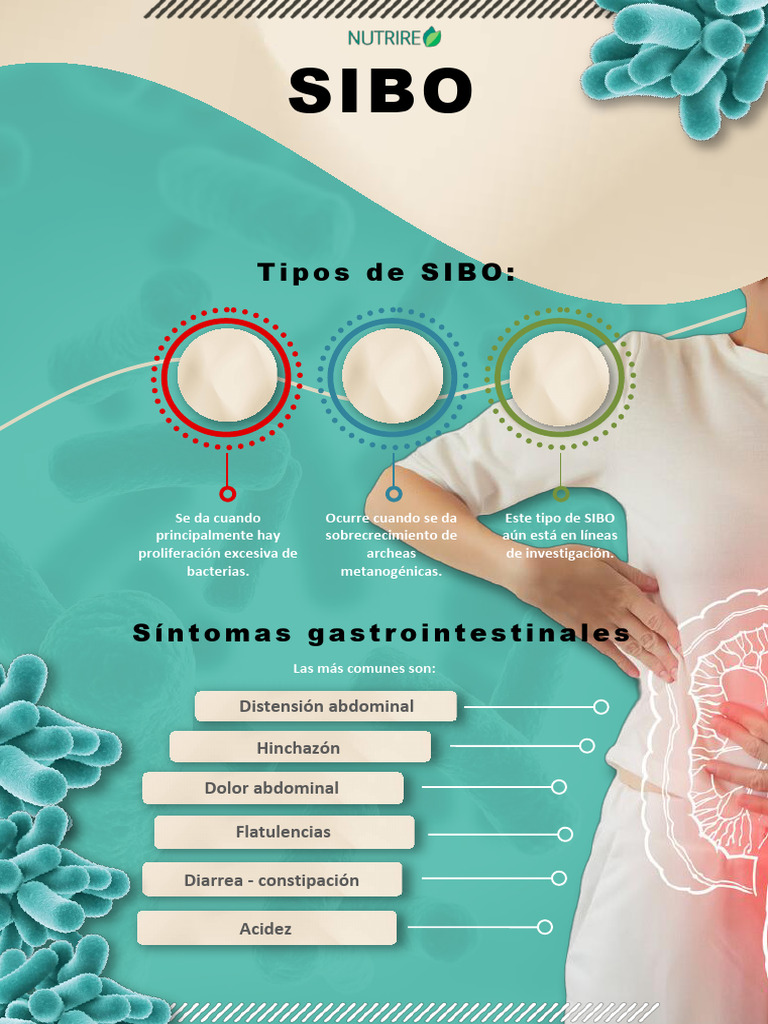 Guía Completa sobre el SIBO | PDF