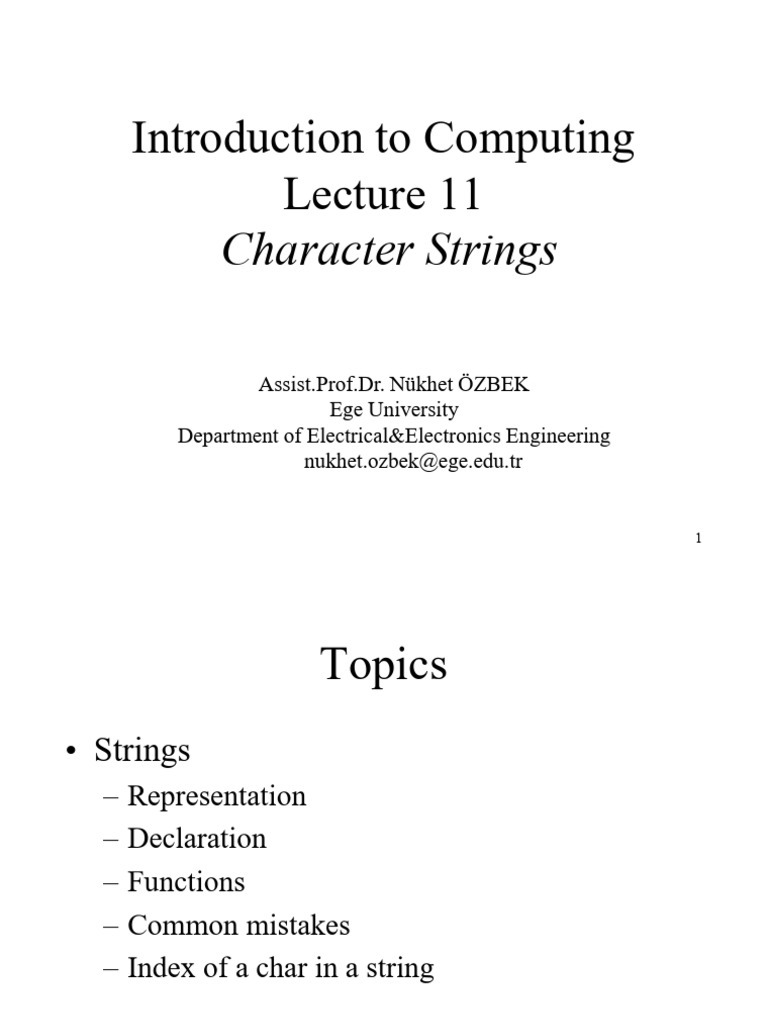 Lecture 11 Pdf String Computer Science Parameter Computer Programming