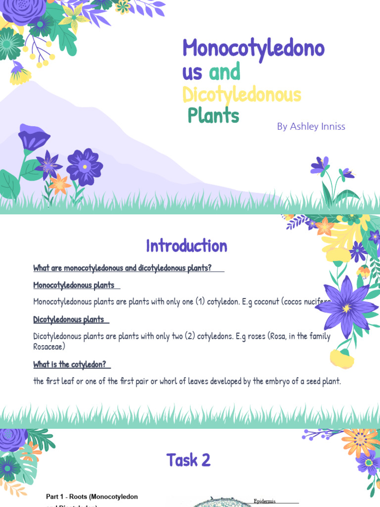 Monocots vs. Dicots: Key Differences | PDF
