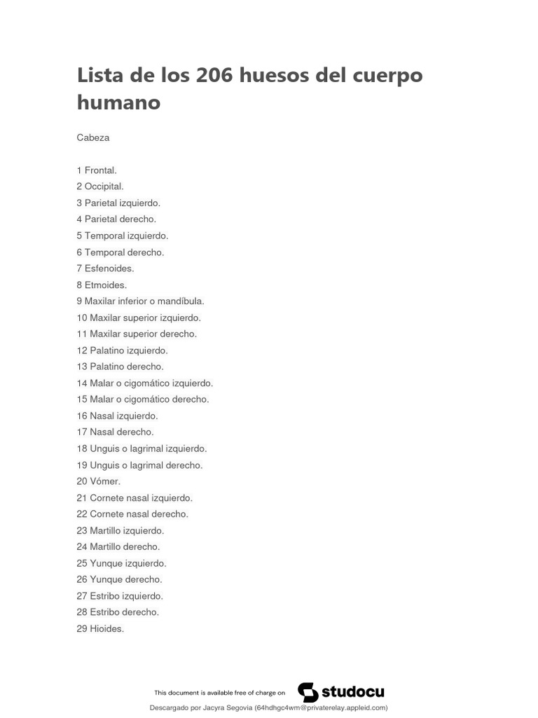 Lista de Los 206 Huesos Del Cuerpo Humno Adulto | PDF | Vértebra ...