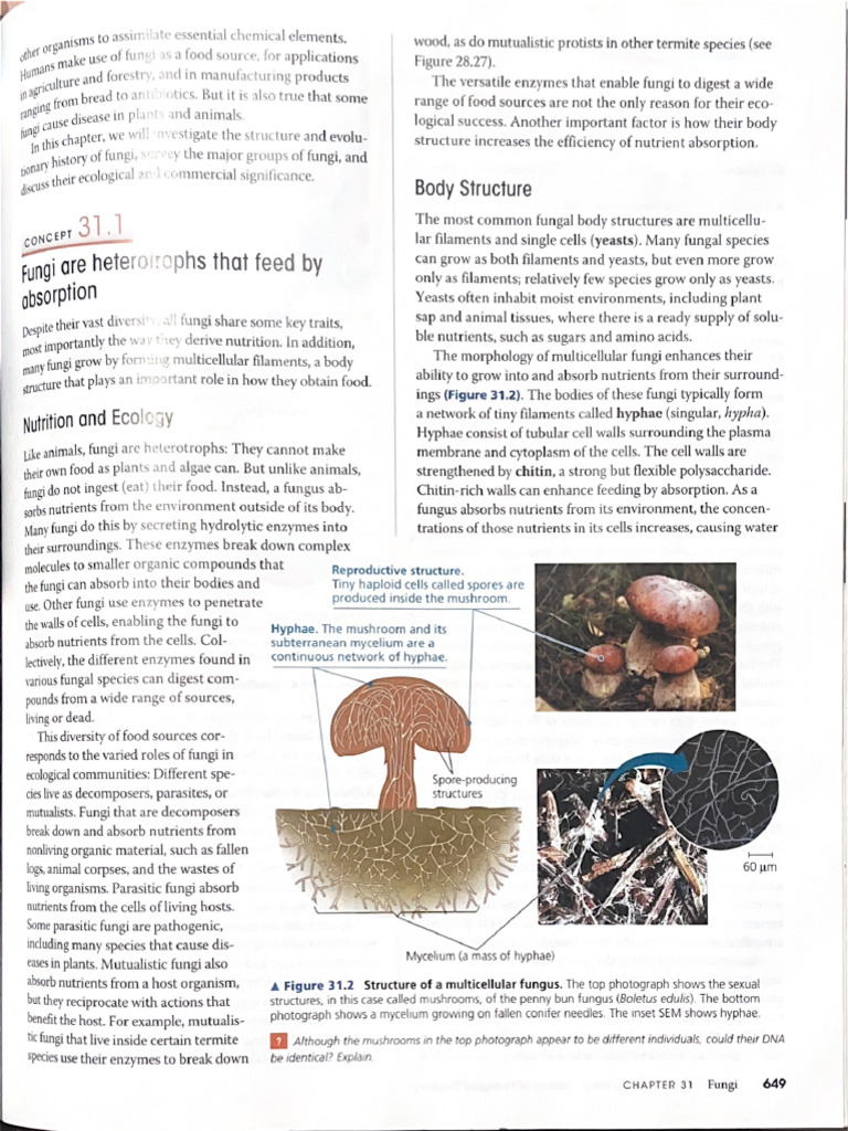 Ap Bio Textbook | PDF