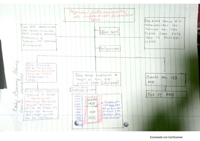 Mapa Conceptual Niif | PDF
